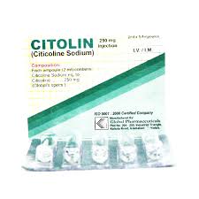 Citolin Injection 1g 1 Ampoules - Time Medical
