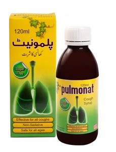 Pulmonat 120ml Syrup - Time Medical